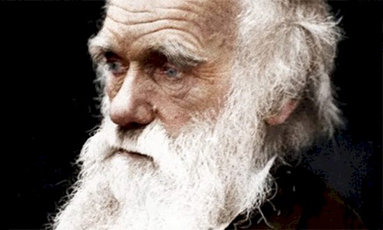 Uma viagem ao universo de Darwin - Fundação Editora Unesp